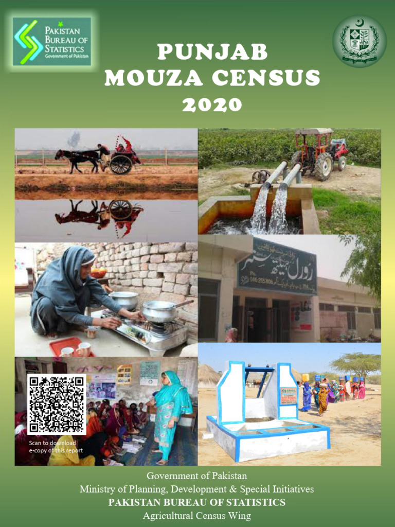 Mouza Census 2020 Punjab Report | PDF | Census | Agriculture