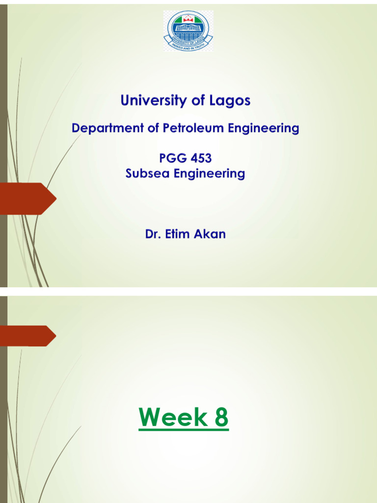 Subsea Engineering - PGG 453 - Week 8 - Project Execution and ...