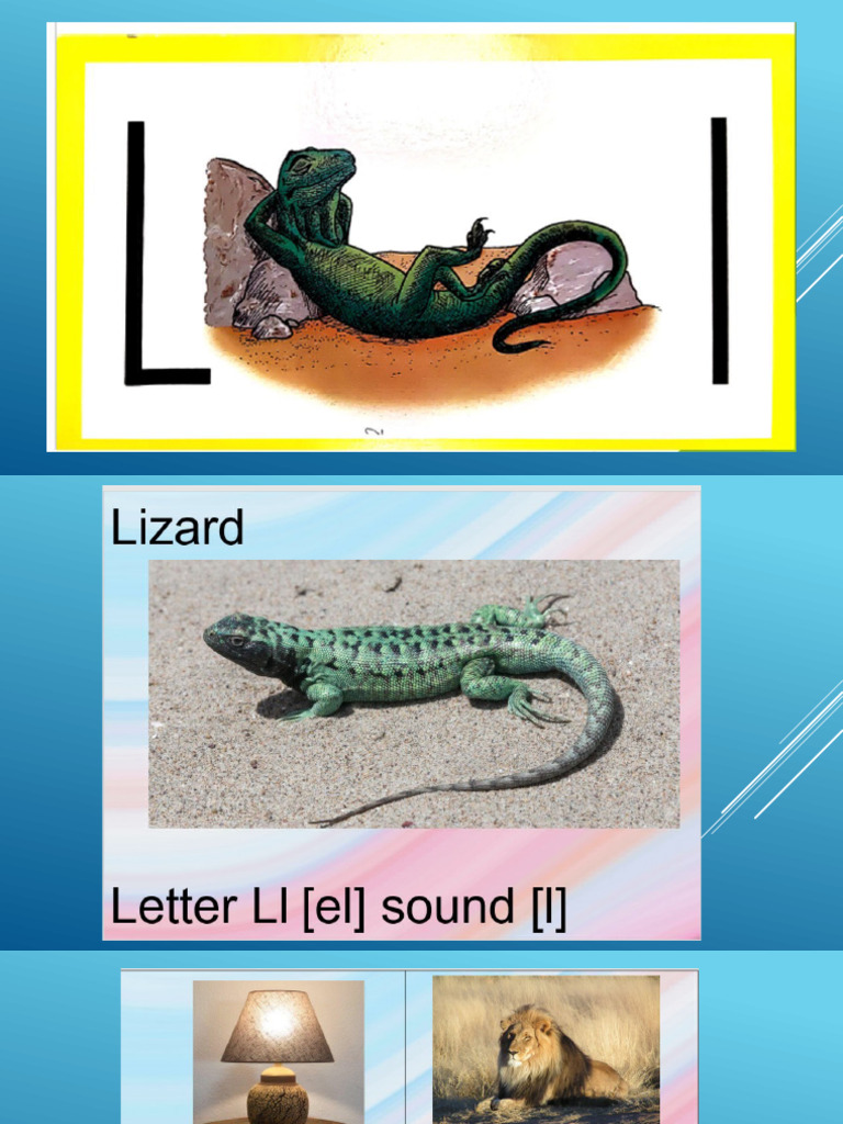 Lizard | PDF