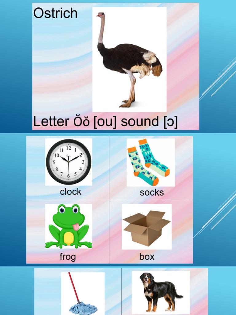 O (Ostrich) | PDF