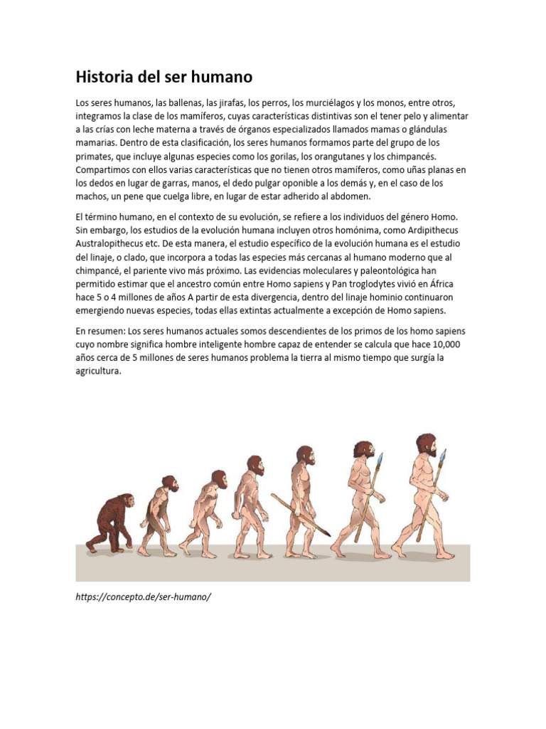 Historia Del Ser Humano | PDF