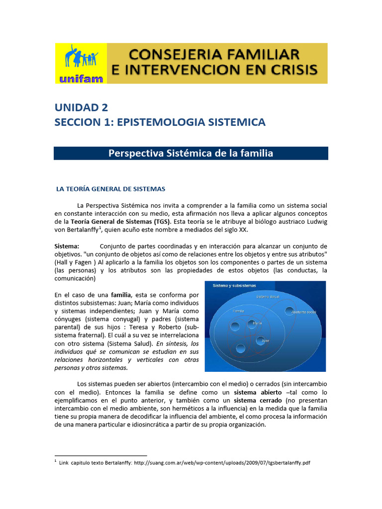 Texto Perspectiva Sistémica De La Familia 1 Pdf Sistema