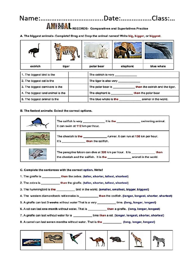 animals comparative-superlative practice | PDF