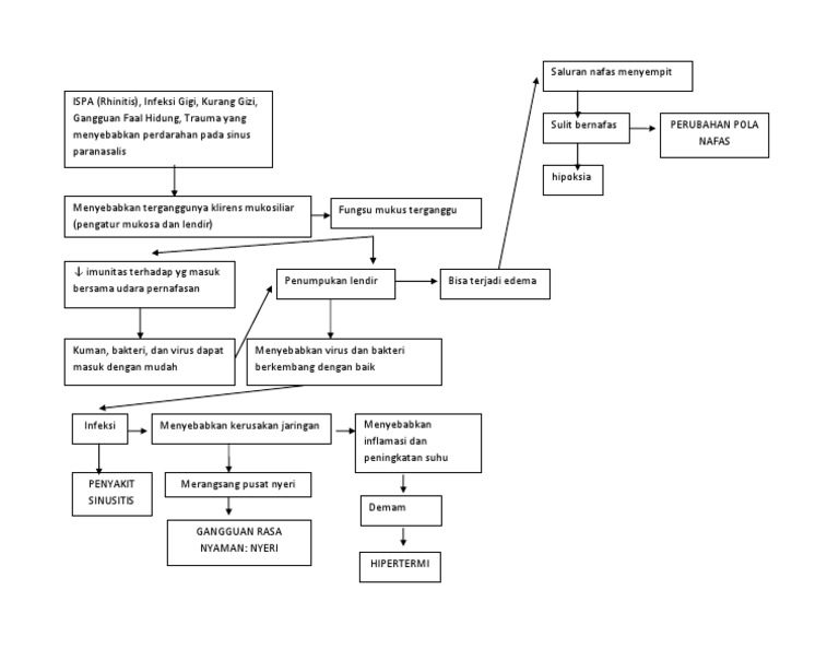 Woc Paranasal Sinusitis | PDF