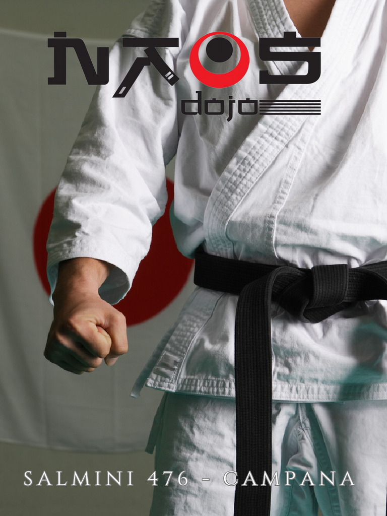 Salmini 476 - 20250224 - 175909 - 0000 | PDF