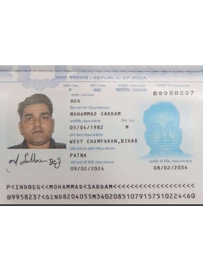 Saddam Passport | PDF