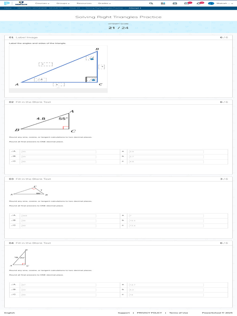 Solving Right Triangles Practice Schoology | PDF | Trigonometric Functions | Euclidean Geometry