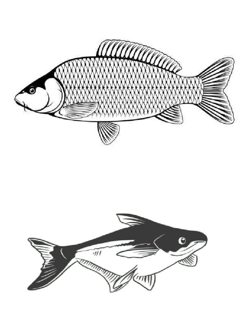 Sketsa Air | PDF