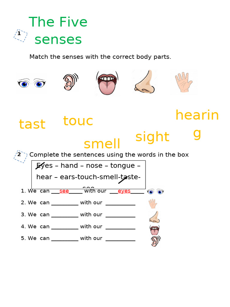 The Five Senses Formative | PDF