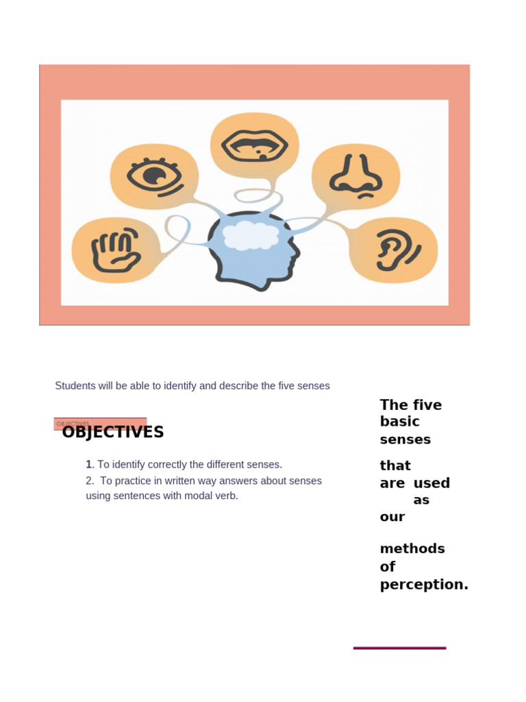 Exploring the Five Senses | PDF | Senses | Perception