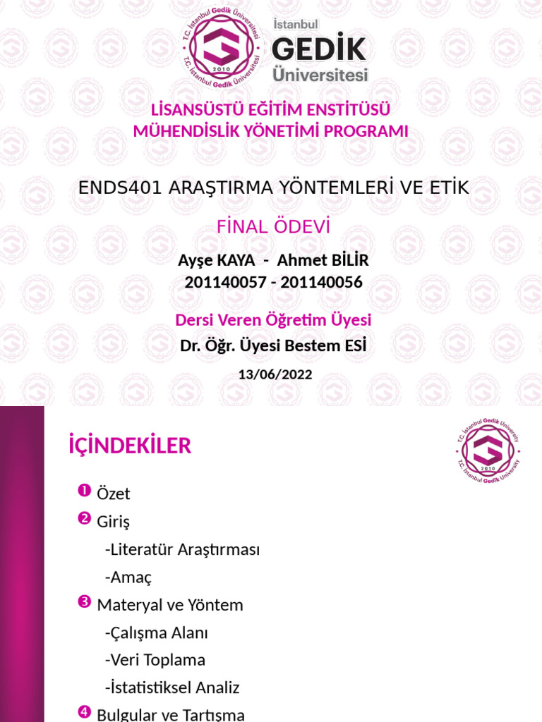 Vize Odevi Ornegi-1 | PDF
