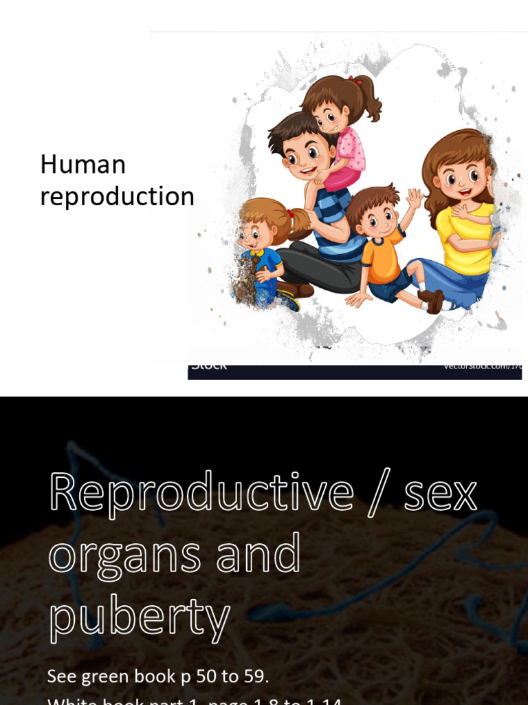 Human Reproductive System Overview | PDF | Ovary | Luteinizing Hormone
