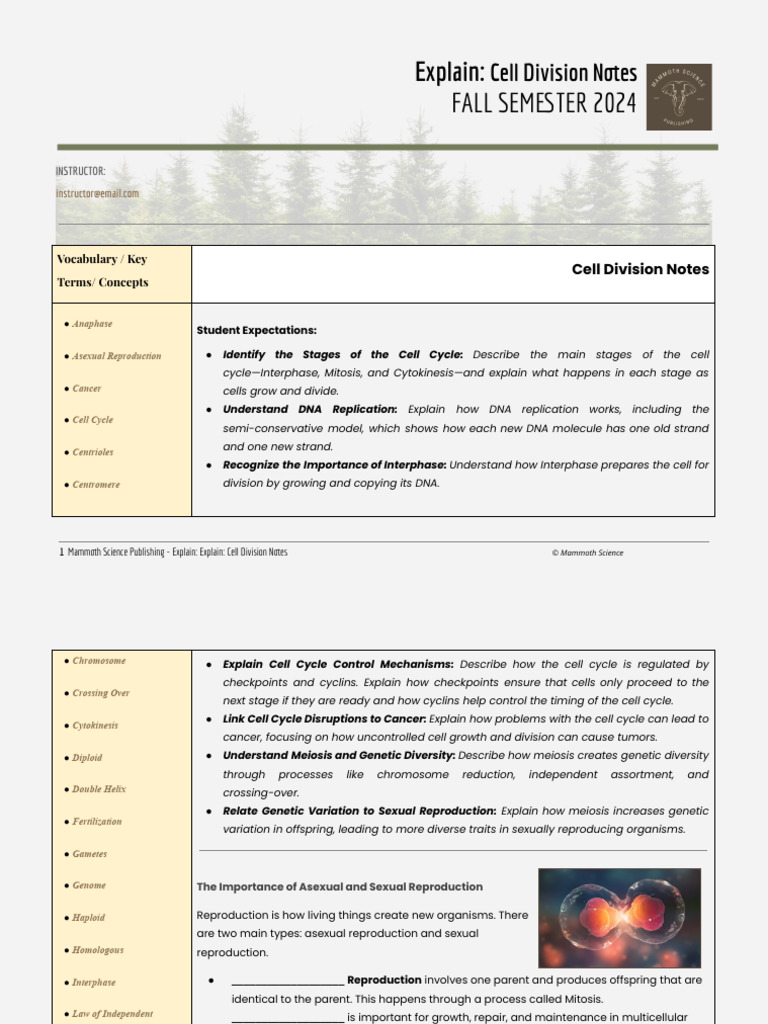 Cell Division: Key Concepts and Stages | PDF | Meiosis | Sexual ...