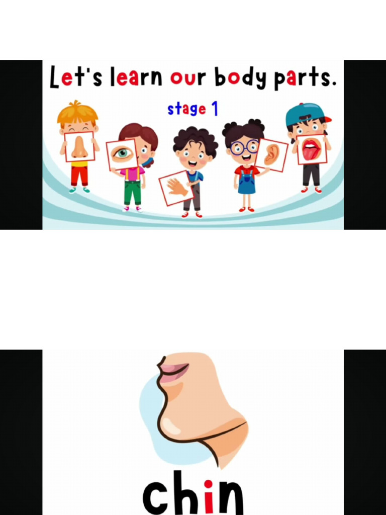 My Body | PDF