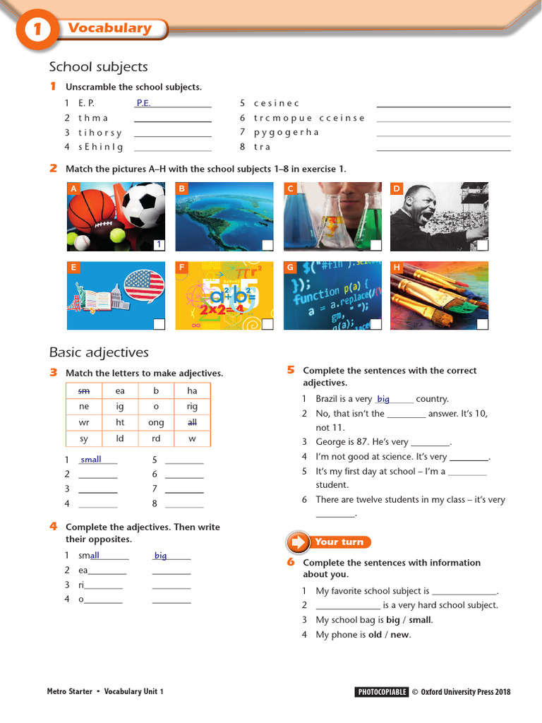 3 Metro Starter Vocabulary and Grammar Worksheets | PDF