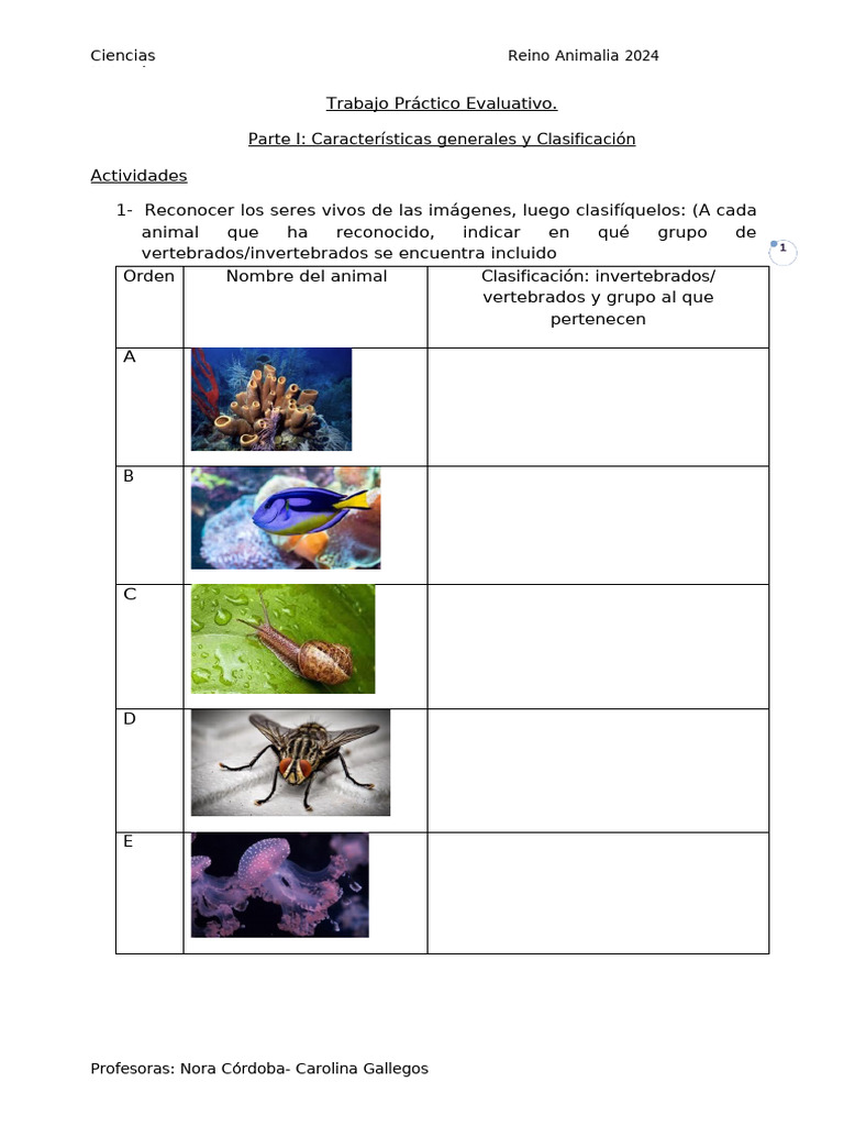 Trabajo Práctico Evaluativo-Adecuaciones 2024 Word | PDF