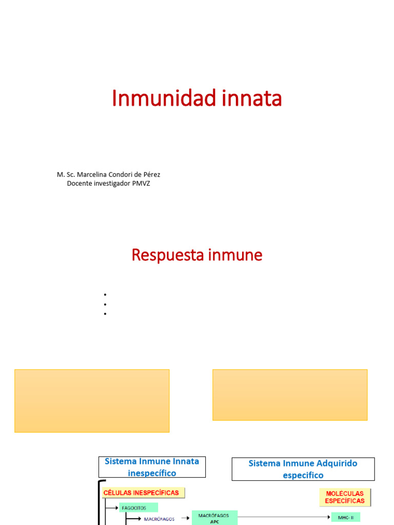 Inmunidad Innata: Mecanismos y Células | PDF