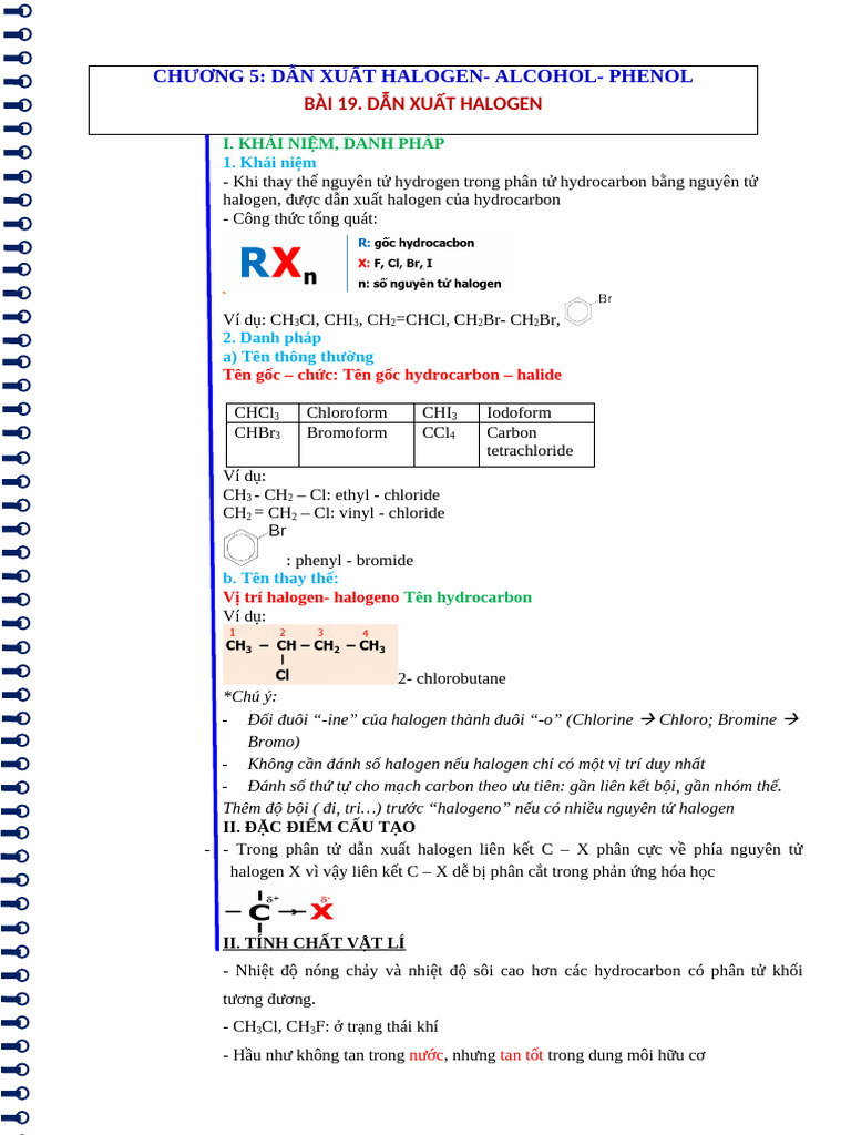 B19_DẪN-XUẤT-HALOGEN. | PDF