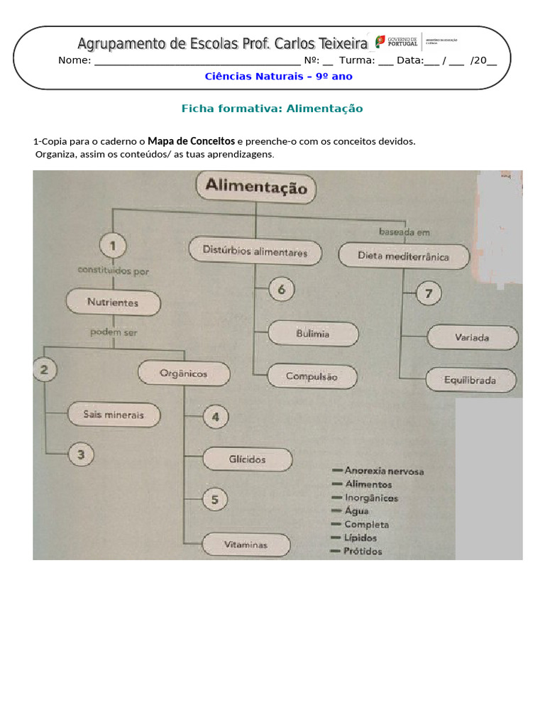 Ficha form_Mapa Conc Alimentação | PDF