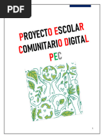 Que Es El PAEC - (Infografia) | PDF