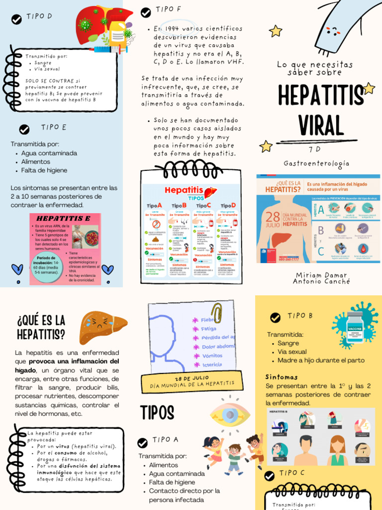 Tríptico Hepatitis Viral | PDF | Hepatitis | Virus