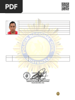 Portal de Servicios PNC | PDF