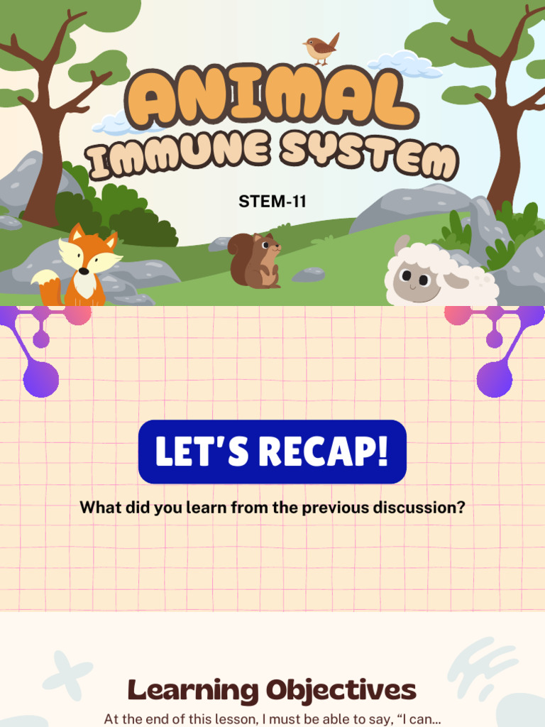 Animal Immune System Overview and Activities | PDF | Immune System ...
