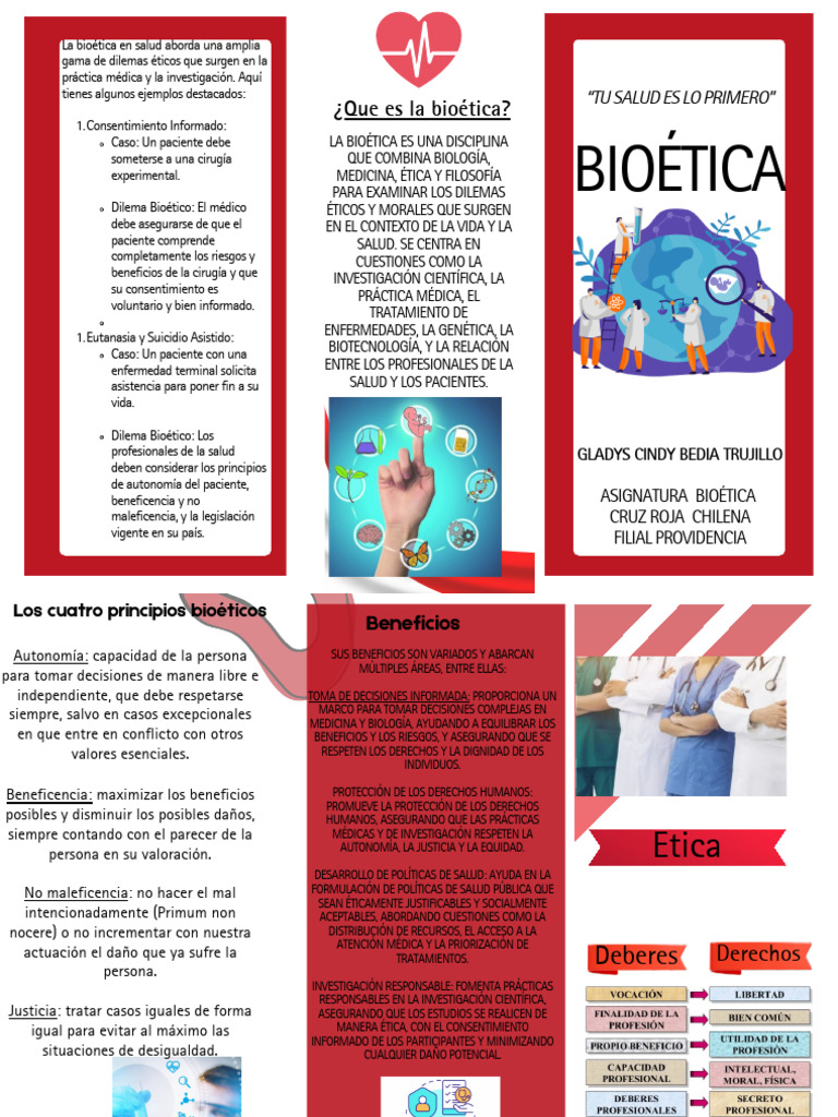 BIOETICA (Trípticos) (1) | PDF | Bioética