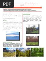 Geografía - Biomas | PDF | Sabana | Habitat