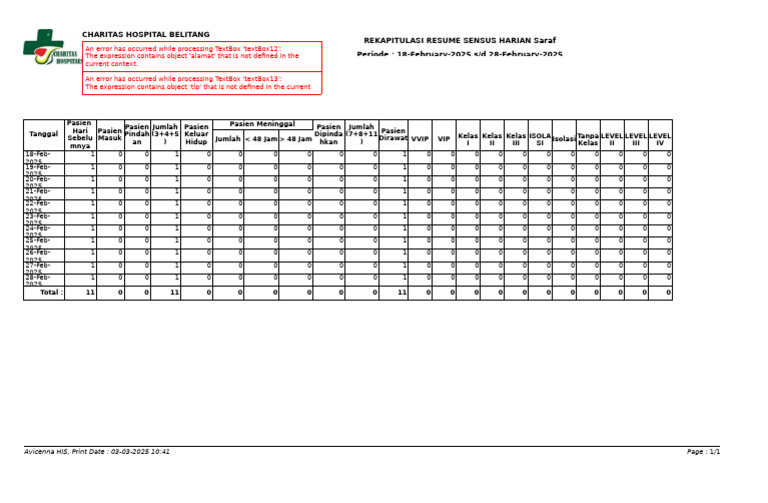 Daily Patient Census Summary 2025 | PDF