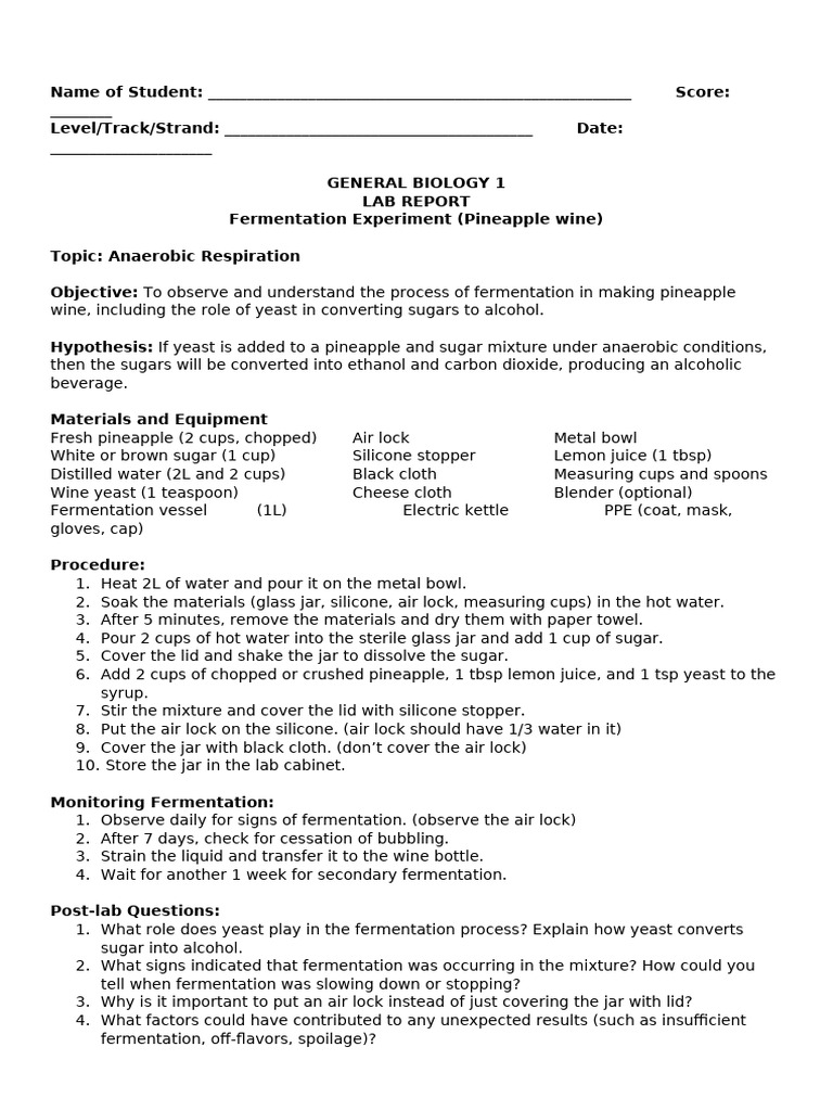 Lab Report - Fermentation | PDF | Fermentation | Yeast