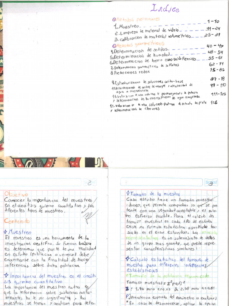 Bitácora de Química Cuantitativa - Lizarraga | PDF