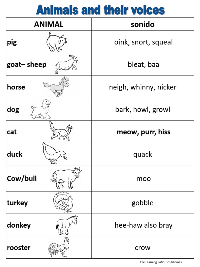Animal Sounds in Spanish and English | PDF