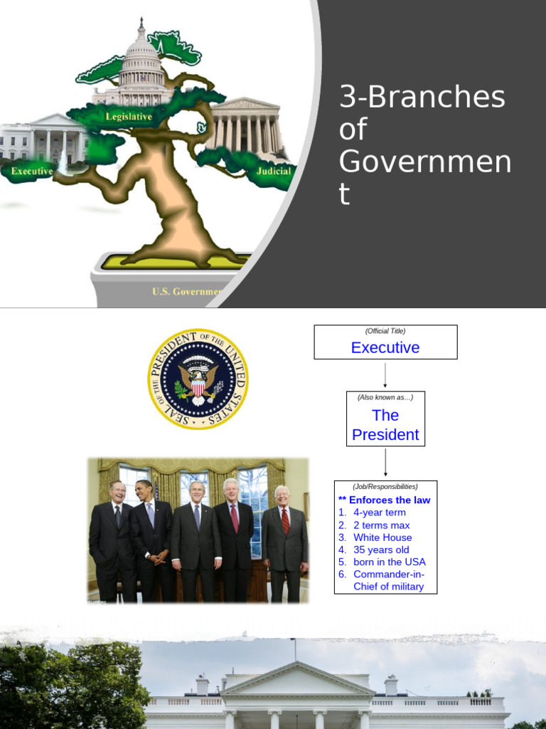 Overview of U.S. Government Branches | PDF