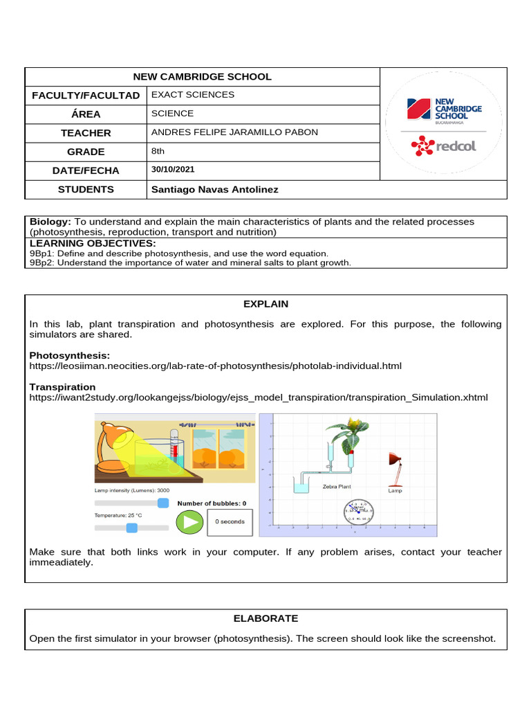 Lab_PlantBiology | PDF | Stoma | Photosynthesis