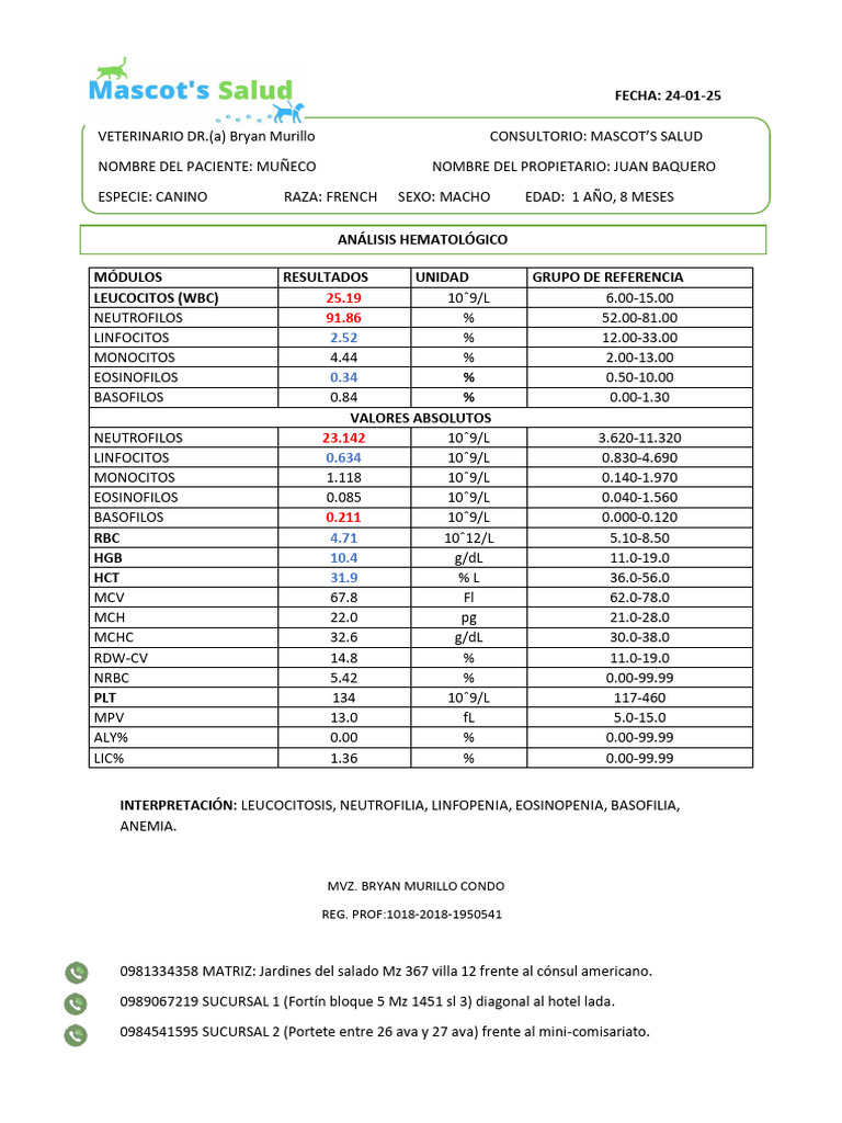 MUÑECO | PDF | Patologia clinica | Tejido (biología)