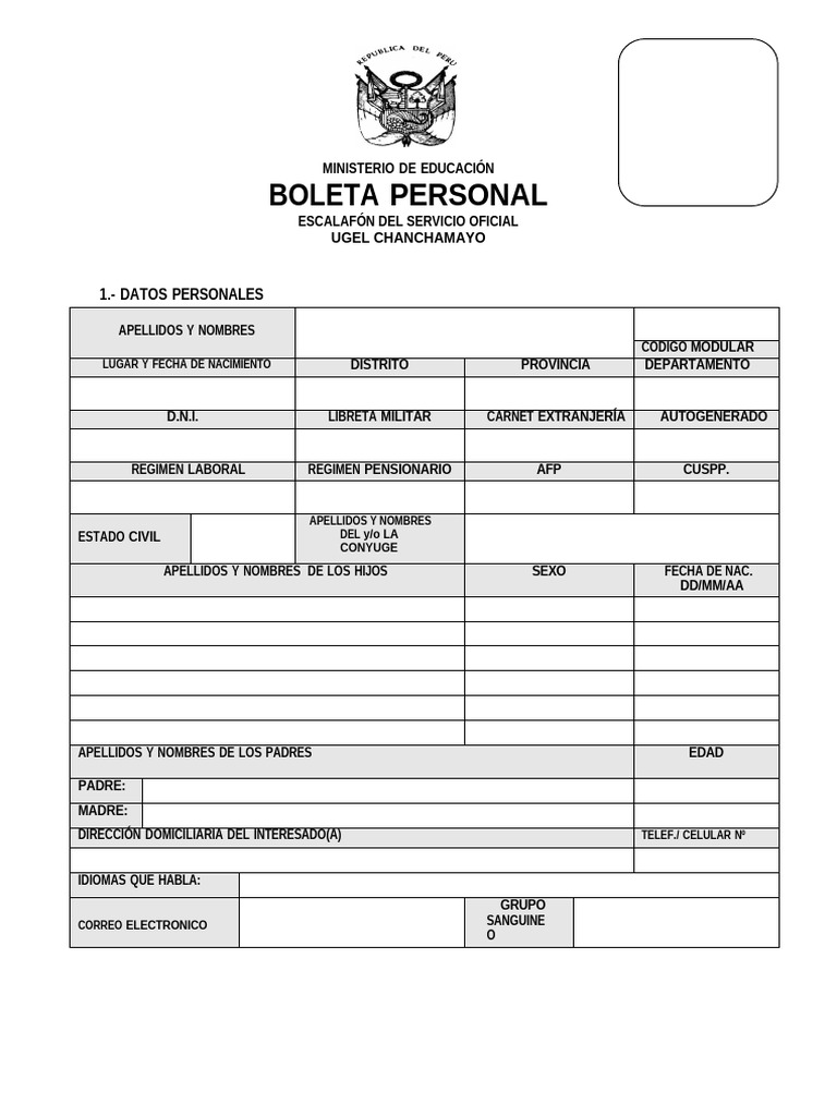 BOLETA DE DATOS | PDF