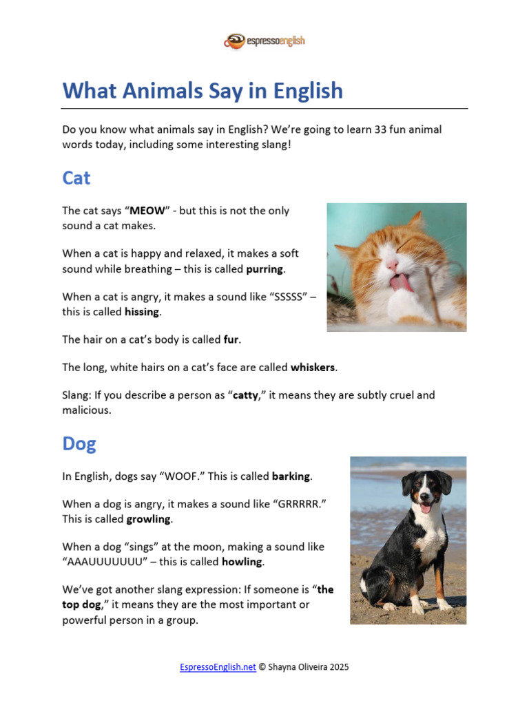 Animal Sounds and Slang in English | PDF | Sheep | Zoology