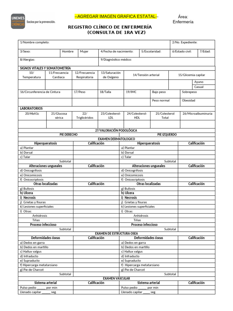 REGISTROS CLÍNICOS DE ENFERMERÍA - 1ra VEZ | PDF | Diagnostico medico | Enfermería