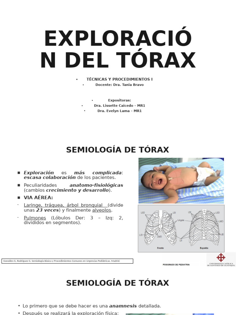 Exploración Del Tórax | PDF | Tórax | Sistema respiratorio