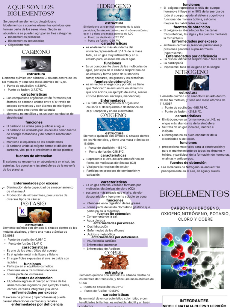 Folleto Bioelementos | PDF | Carbón | Oxígeno