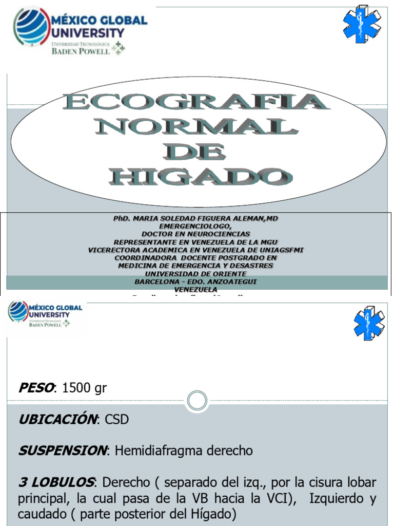 Ecografía del Hígado Normal | PDF | Hígado | Anatomia animal