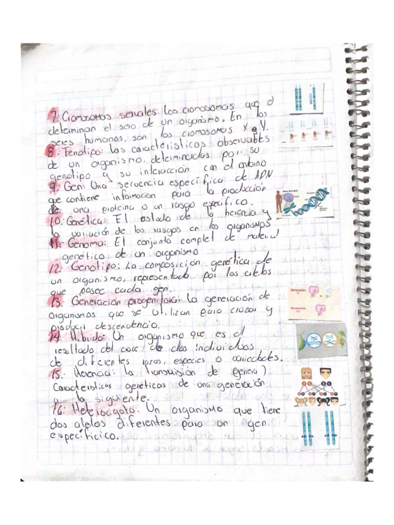 Documentos Escaneados 4 | PDF