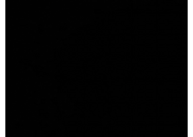 PDFReader_20250306_2213 | PDF