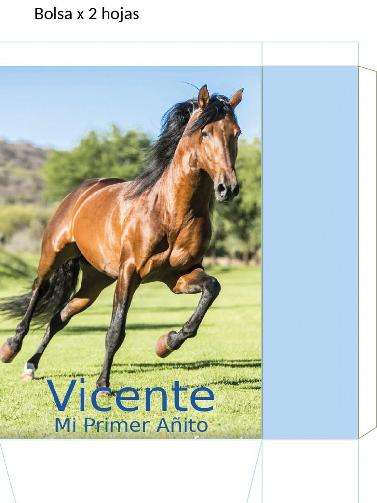 Caballo | PDF