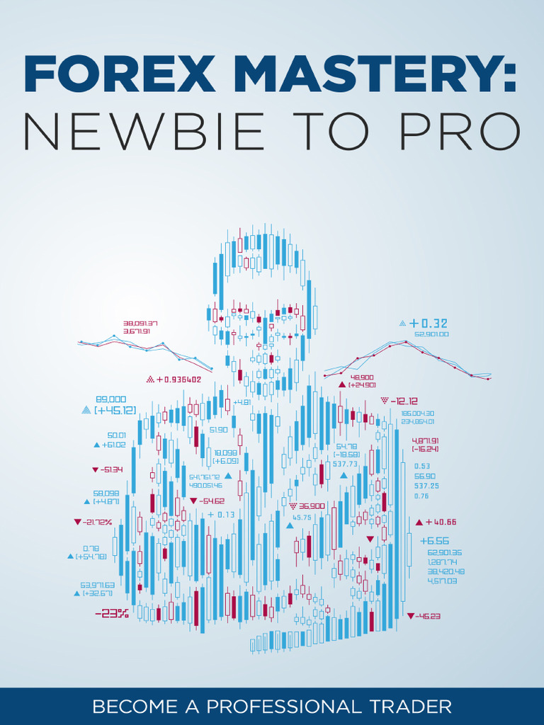 Forex Mastery Newbie To Pro | PDF | Foreign Exchange Market | International Finance