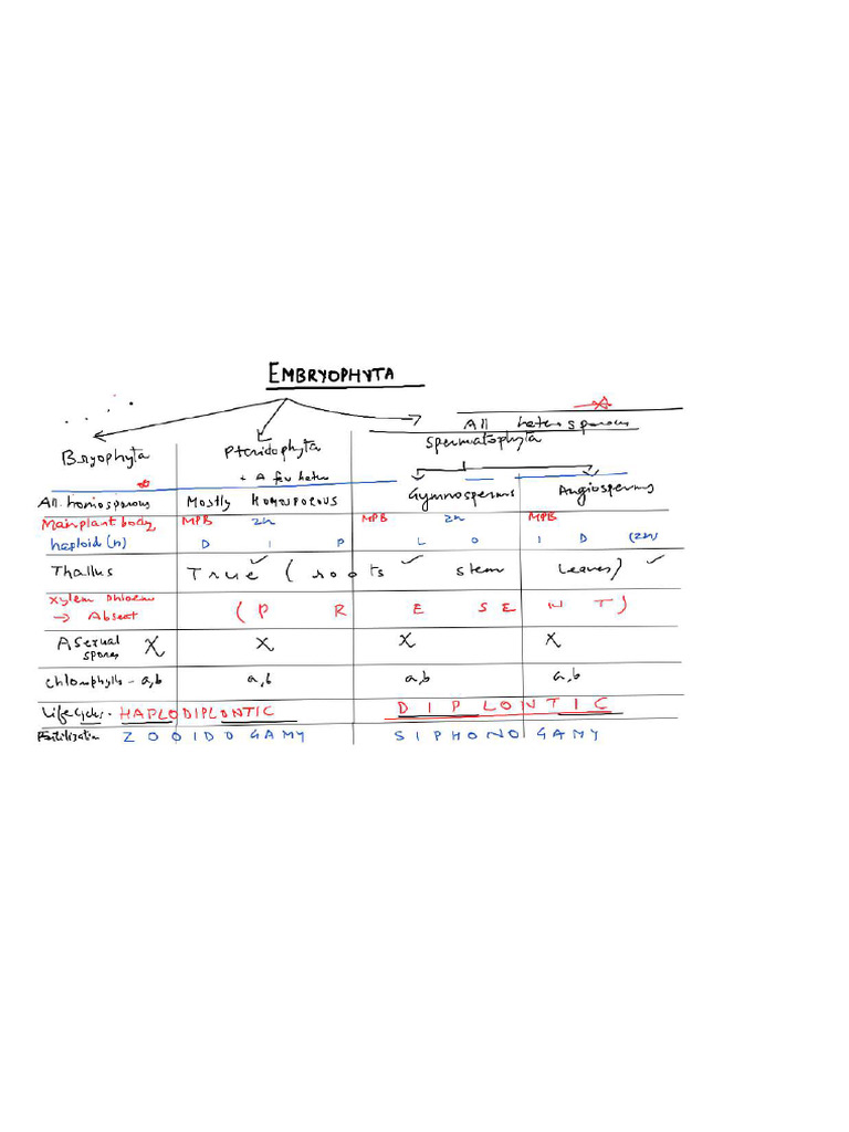 Plant Kingdom Embryophyta | PDF