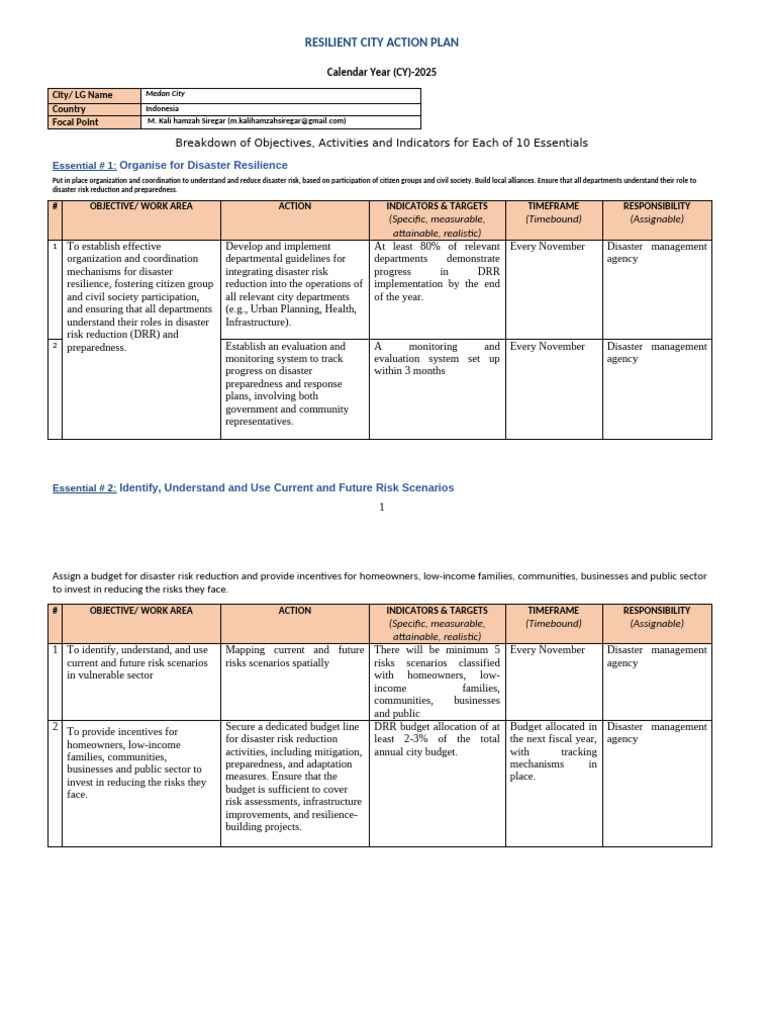 DAY 3 RC Action Plan TEMPLATE | PDF | Emergency Management | Disaster ...