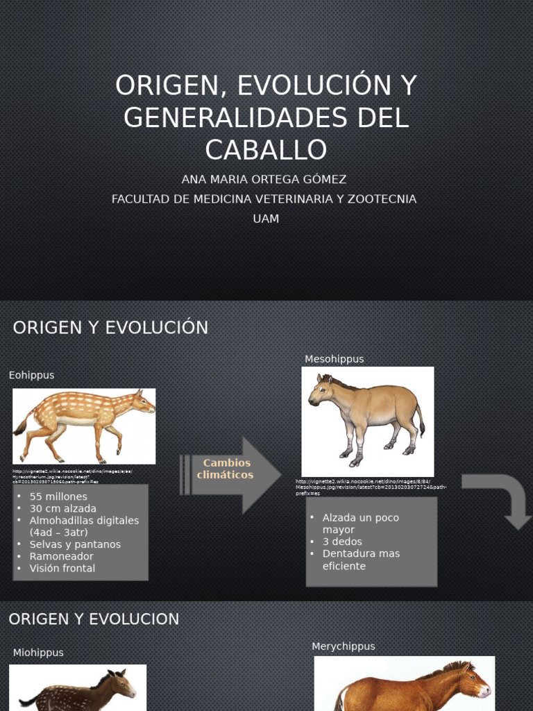 Origen y Evolución del Caballo | PDF | Caballos | Equus (Género)