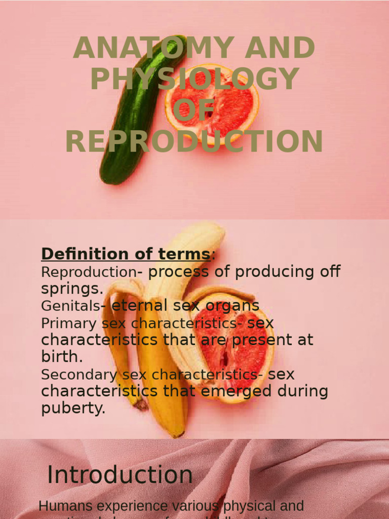 Anatomy and Physiology of Reproduction | PDF | Menstrual Cycle | Puberty